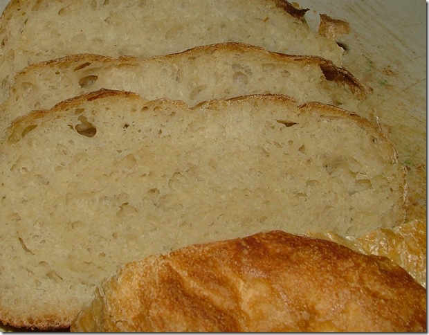 Baking And Boys!: Blessed Bread, No Knead Bread and Honey Whole Wheat Bread